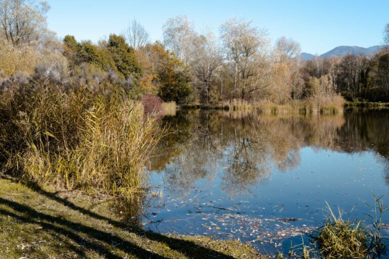 Découvrir Crolles - Ville de Crolles